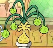 Puckerberry | Chowder Fan Club | Fandom