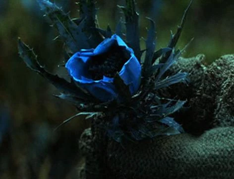 Fear toxin | Christopher Nolan Wiki | Fandom