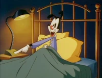 Yakko, Wakko and Dot | Christmas Specials Wiki | Fandom