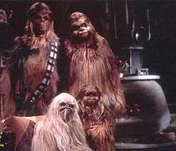 The Star Wars Holiday Special | Christmas Specials Wiki | Fandom