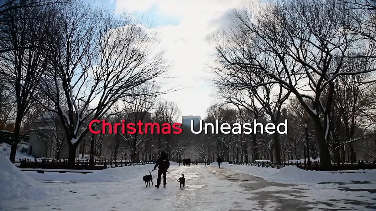 Christmas Unleashed | Christmas Specials Wiki | Fandom