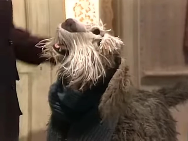 Sprocket | Christmas Specials Wiki | Fandom