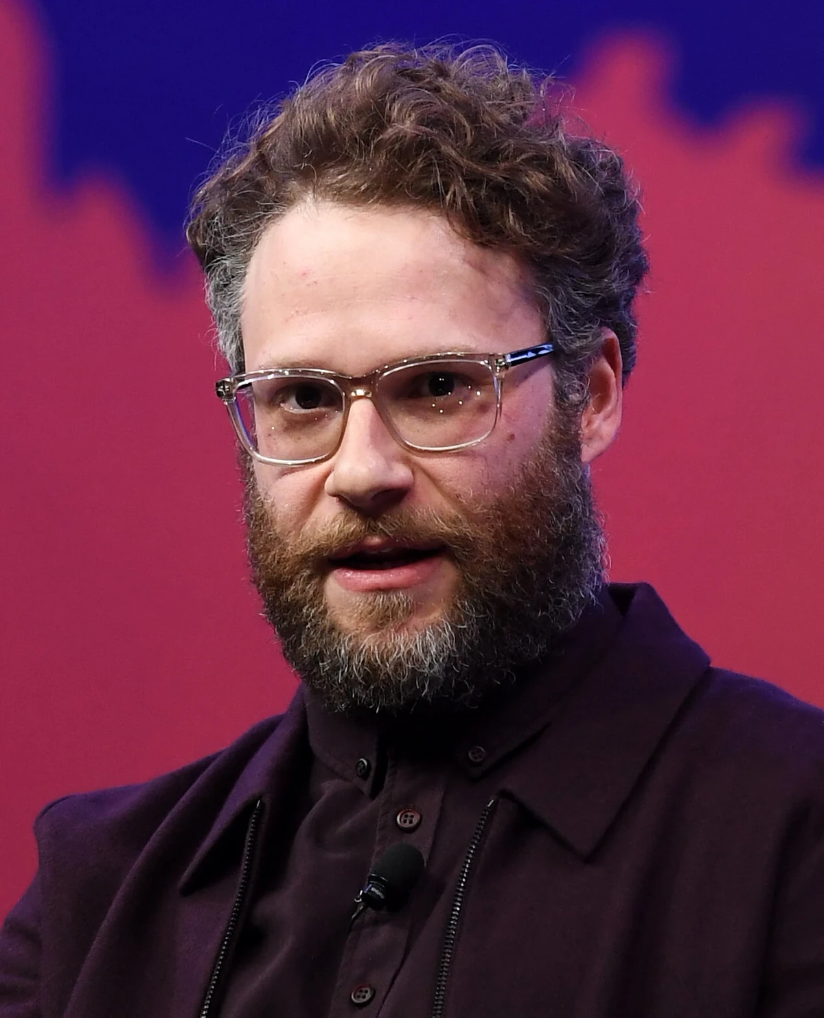 Seth Rogen | Christmas Specials Wiki | Fandom