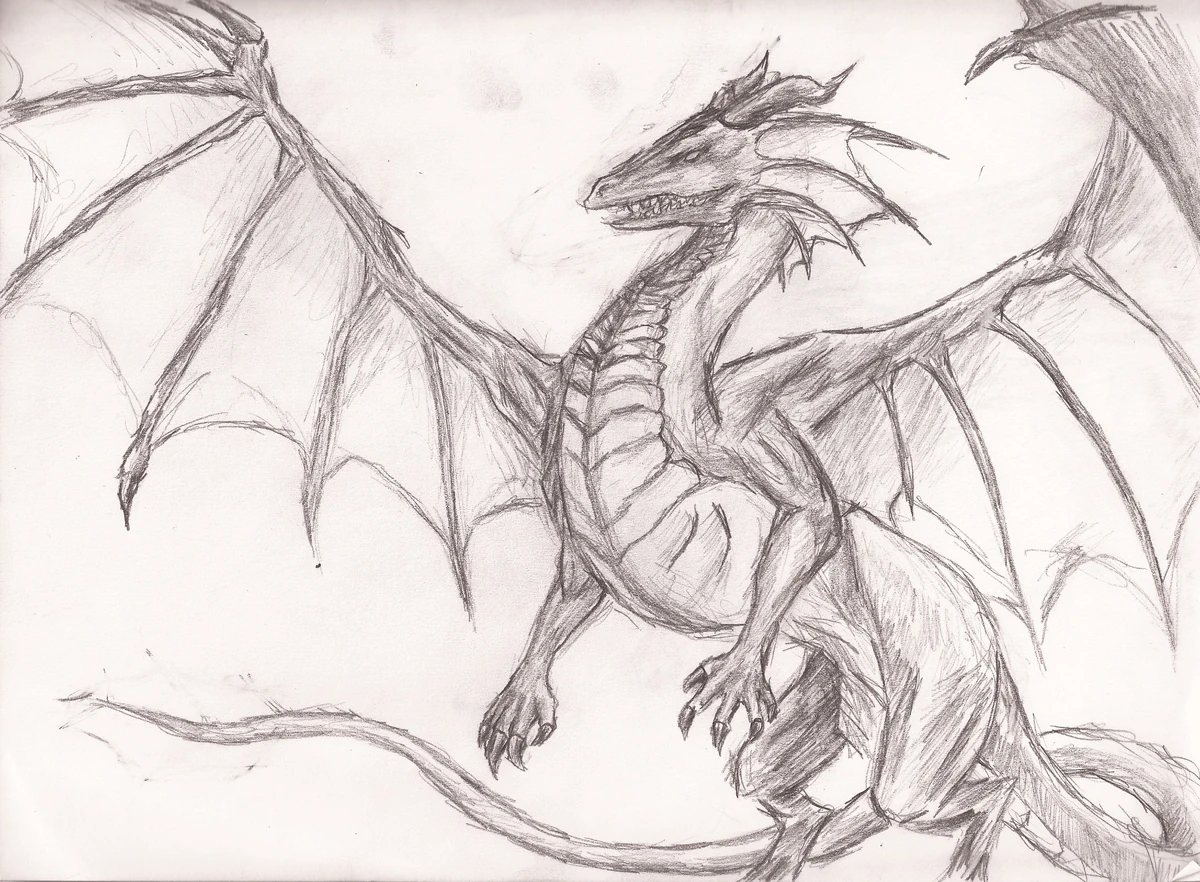 Dragon | Chromoria Wiki | Fandom