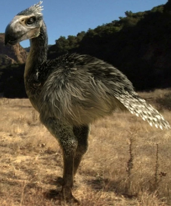 Terror Bird | Chronicle of the stars Wiki | Fandom