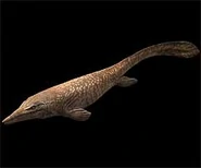 Tylosaurus marveni | Chronicles Of Saozemlya Wiki | Fandom