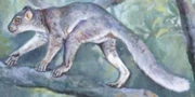Adapis (SciiFii) | Chronicles Of Saozemlya Wiki | Fandom