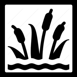 Blackmoore Swamp | Chronicles of the Westerlands Wiki | Fandom