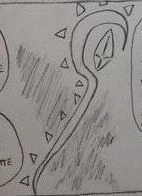 Scettro del regno di Zerkel | Chronicles of Zerkel Wikia | Fandom