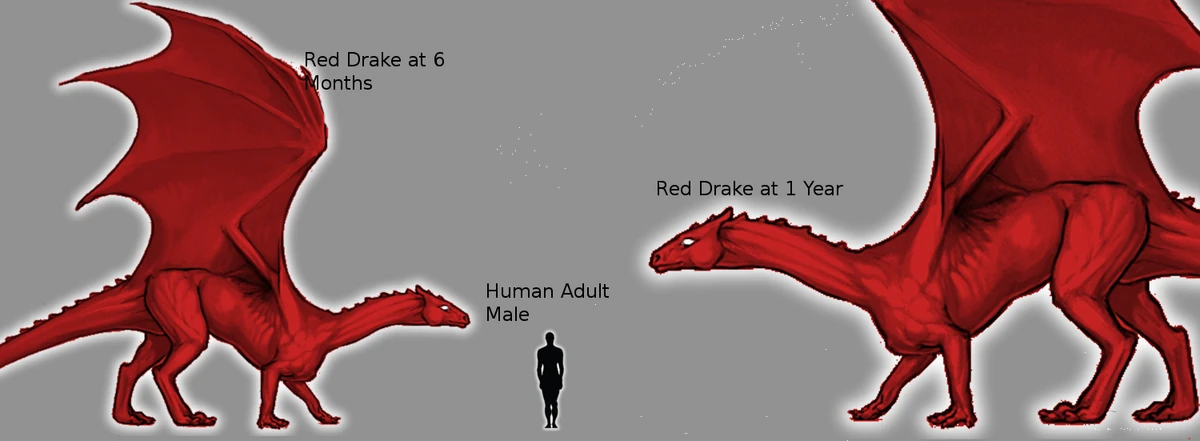 Red Drake | Chronicles of Arn Wiki | Fandom