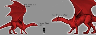 Red Drake | Chronicles of Arn Wiki | Fandom
