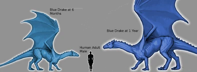 Blue Drake | Chronicles of Arn Wiki | Fandom