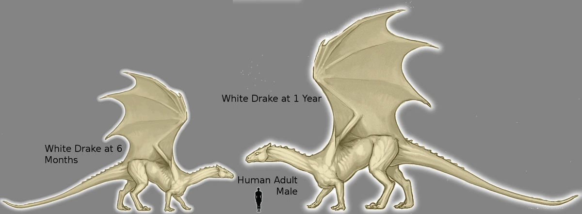 White Drake | Chronicles of Arn Wiki | Fandom