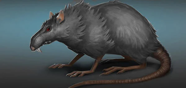 Grey Rat | Chronicles of Arn Wiki | Fandom