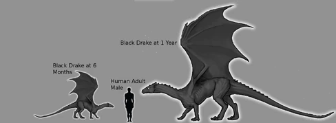 Black Drake | Chronicles of Arn Wiki | Fandom