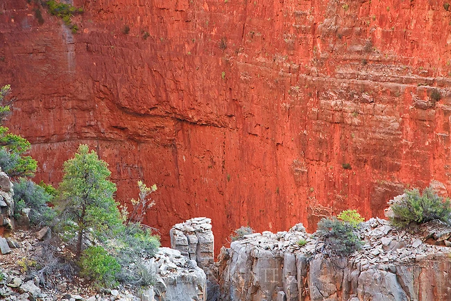 Red Limestone | Chronicles of Arn Wiki | Fandom