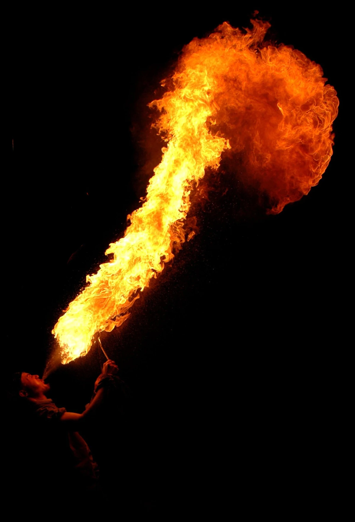 Flame Breath | Chronicles of Arn Wiki | Fandom