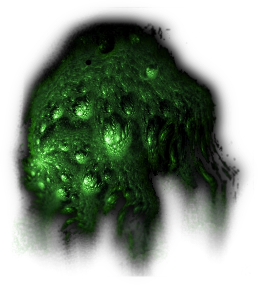 Ooze | Chronicles of Arn Wiki | Fandom
