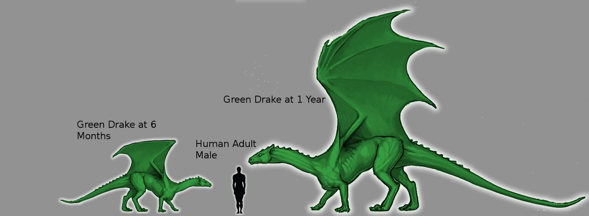 Green Drake | Chronicles of Arn Wiki | Fandom