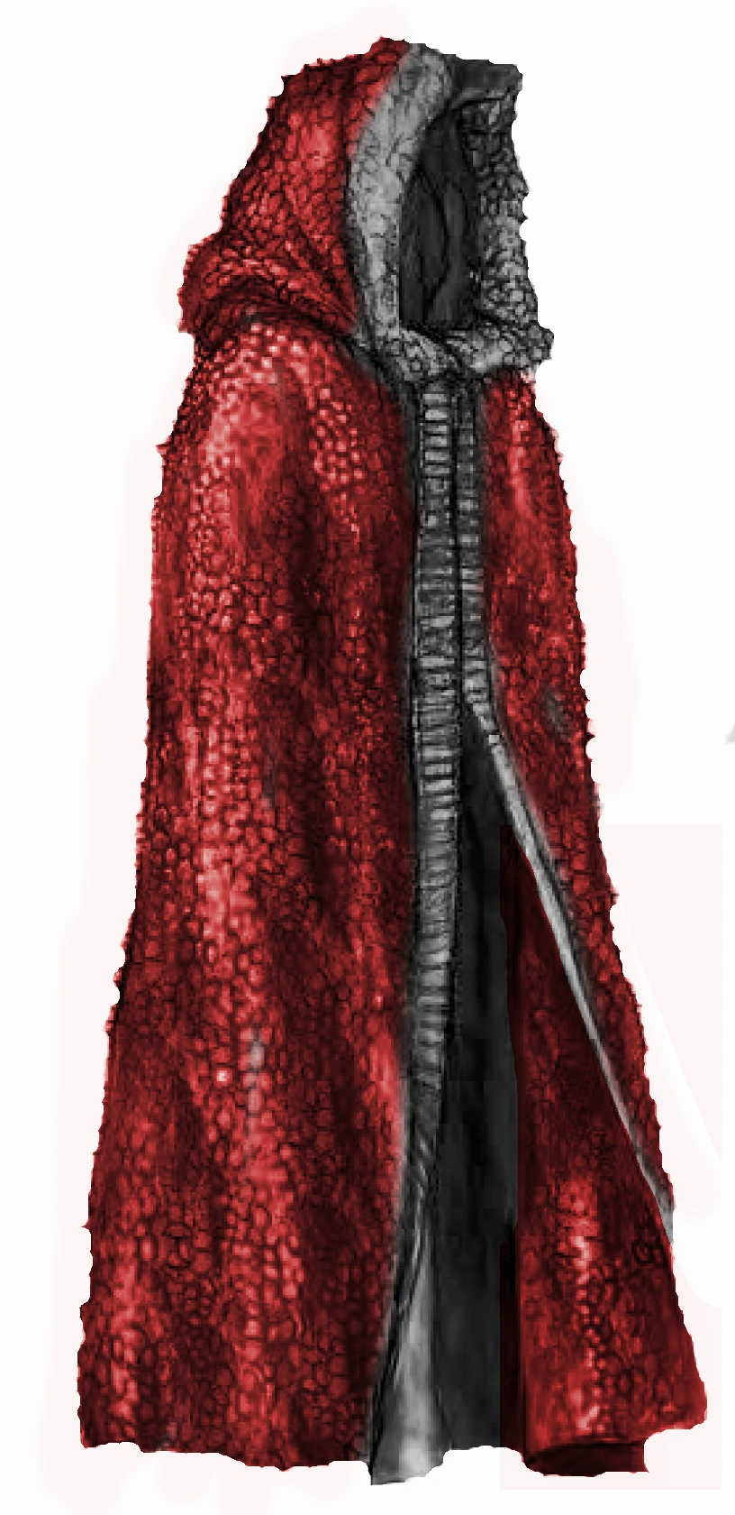 Flamescale Cloak | Chronicles of Arn Wiki | Fandom