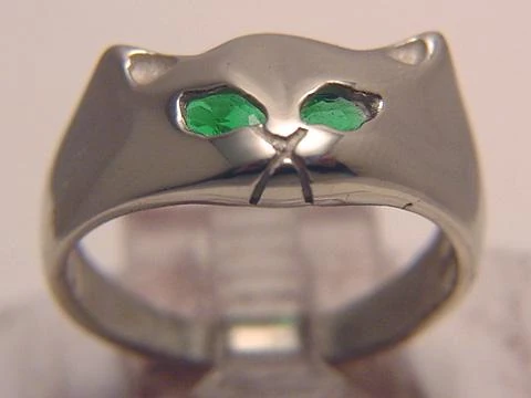 Ring of Polymorph | Chronicles of Arn Wiki | Fandom