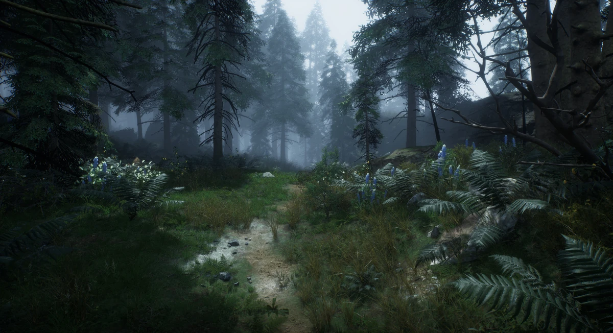 Mistwood Forest | Chrono Odyssey Wiki | Fandom