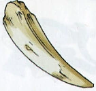 Colmillo | Chrono Wiki | Fandom