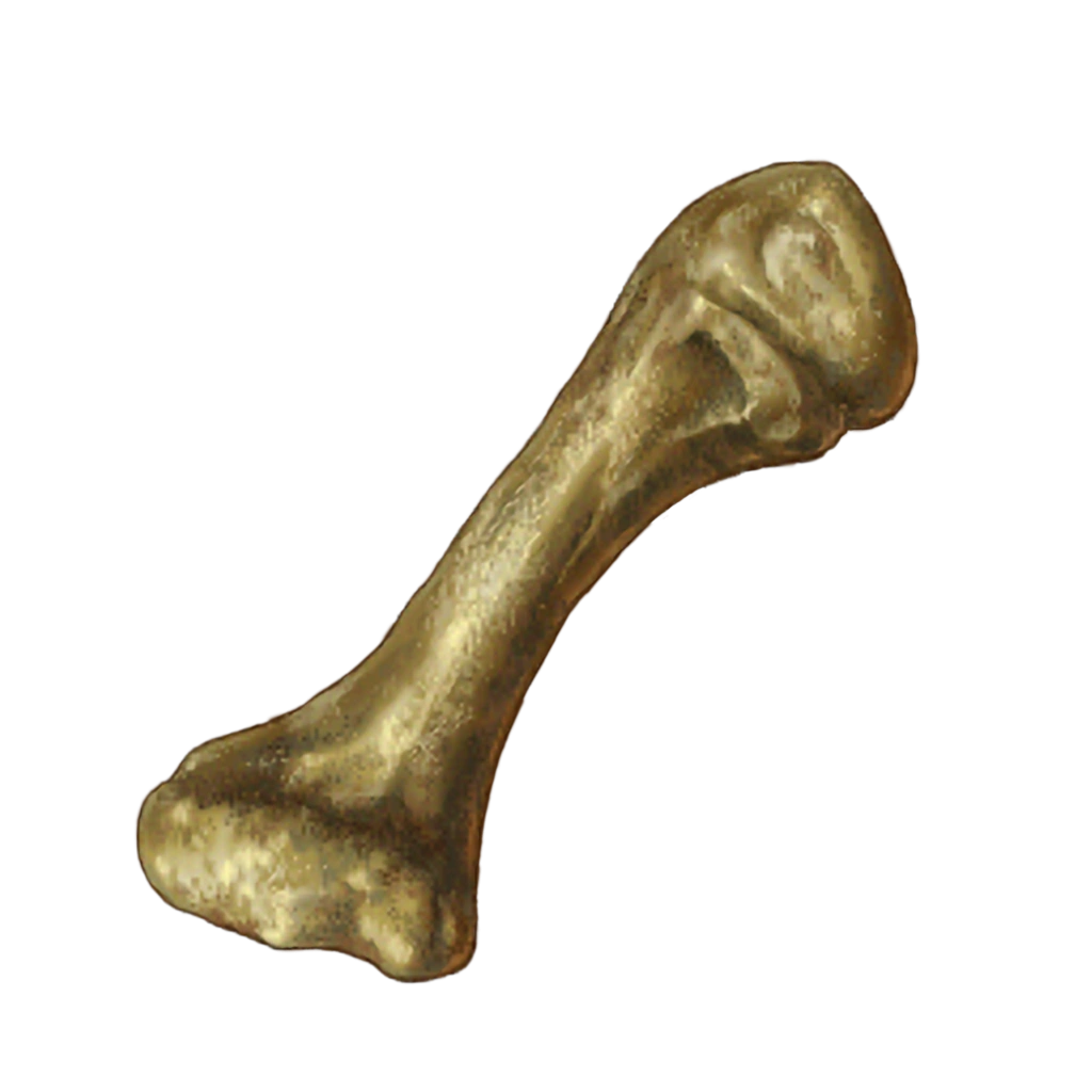 Heckran Bone | Chrono Wiki | Fandom