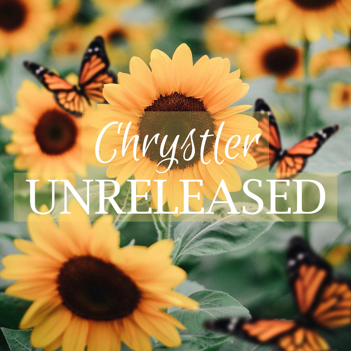 Confidence | Chrystler Wiki | Fandom