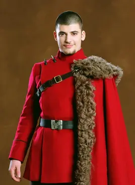 Viktor Krum | Chuchoteuse de fantome Wiki | Fandom
