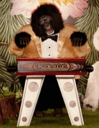 The Rock-afire Explosion | Chuck E. Cheese Wiki | Fandom