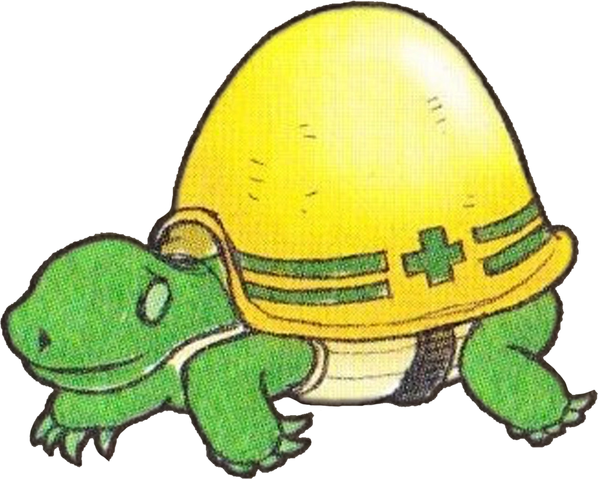 Turtle Boy | Chu♥lip Wiki | Fandom