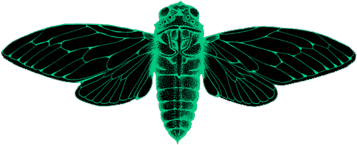 Cicada Detroit Wiki | Fandom