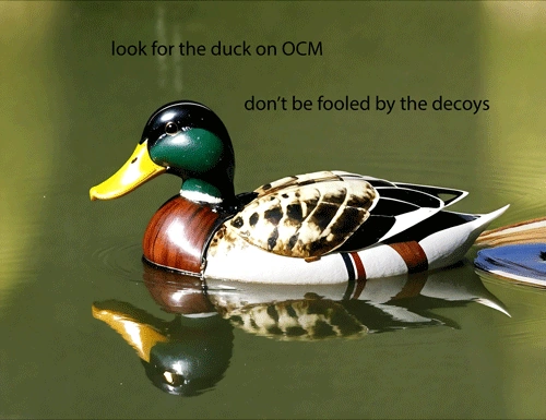 Secret Duck | Cicada Detroit Wiki | Fandom