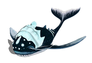 Behmut | Cille Wikia | Fandom