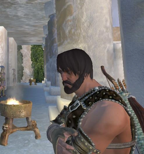 Drune | Cimmeria AoC RP Server Wiki | Fandom