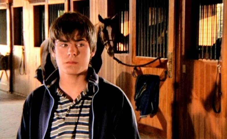 Derby Stallion | Cinema e Televisione Wiki | Fandom