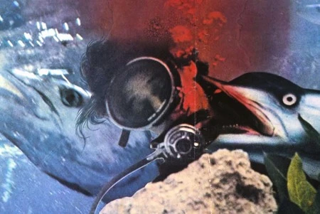 Barracuda | Cinema e Televisione Wiki | Fandom