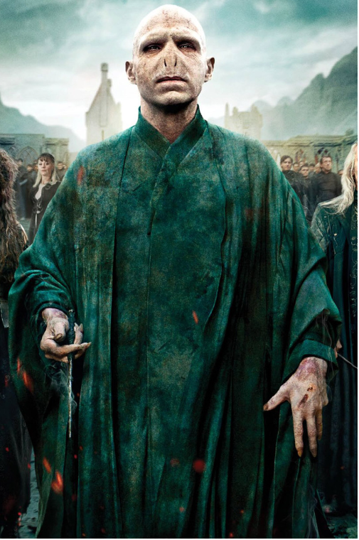 Lord Voldemort | CinemaSins Wiki | Fandom