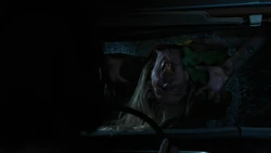 Zombeavers Transformation