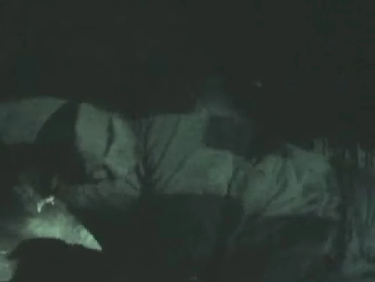 Rob Polonsky | Cinemorgue Wiki | Fandom