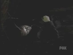 Kim Murphy | Cinemorgue Wiki | Fandom