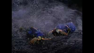 Theodore Marcuse | Cinemorgue Wiki | Fandom