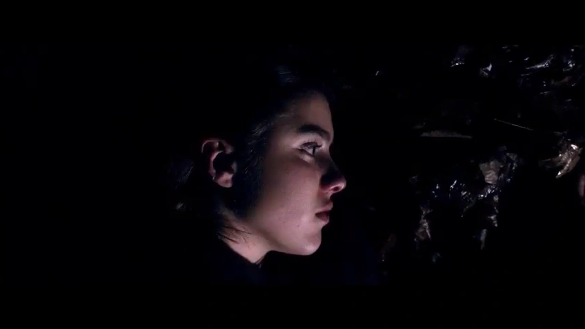 Donnybrook (2018) | Cinemorgue Wiki | Fandom