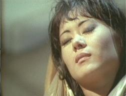 Asia Carrera | Cinemorgue Wiki | Fandom