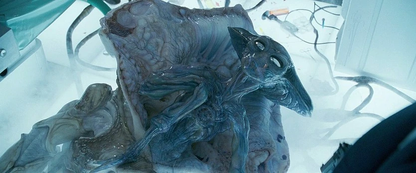 Gary A. Hecker | Cinemorgue Wiki | Fandom