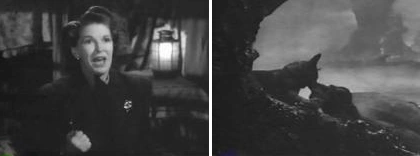 Fay Helm | Cinemorgue Wiki | Fandom