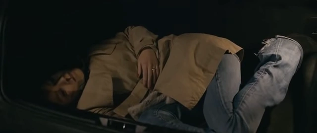 Vendetta (2013) | Cinemorgue Wiki | Fandom