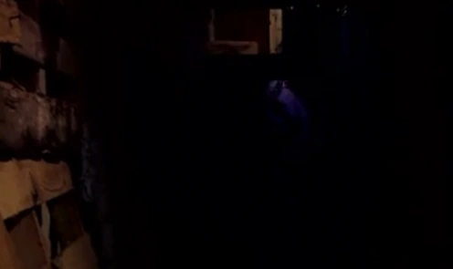 Jack Amos | Cinemorgue Wiki | Fandom