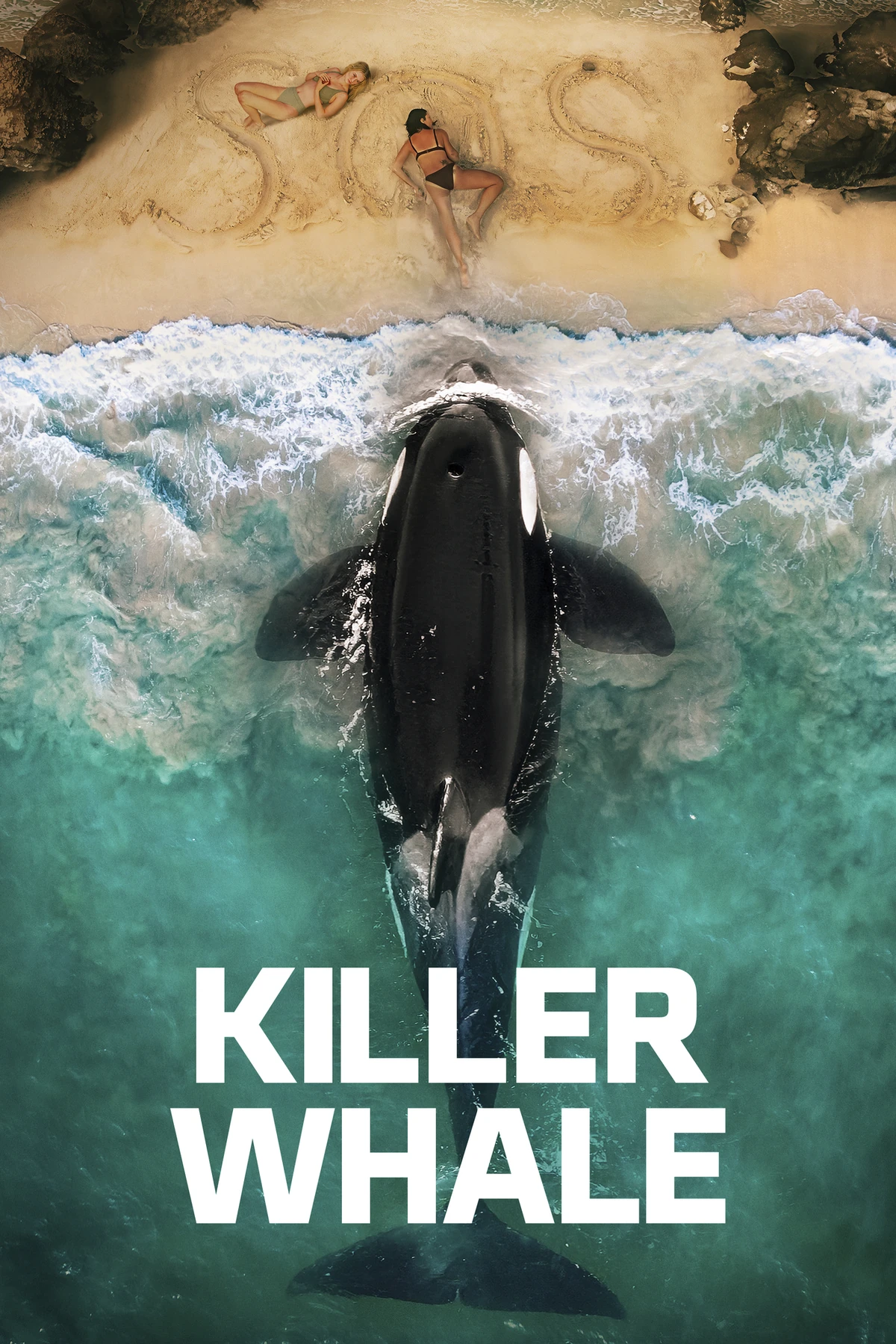 Killer Whale (2026) | Cinemorgue Wiki | Fandom
